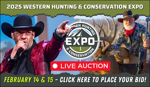 Online Hunting Auctions