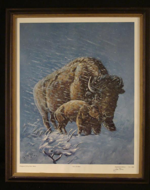William Rains Signed LE Frmd Bison Western Art Storm