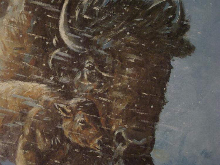 William Rains Signed LE Frmd Bison Western Art Storm