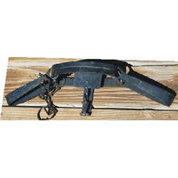 Blake & Lamb #44 coyote trap