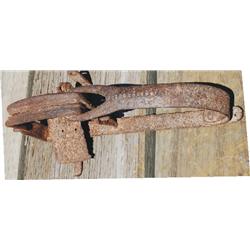 hand forged single spring bear trap