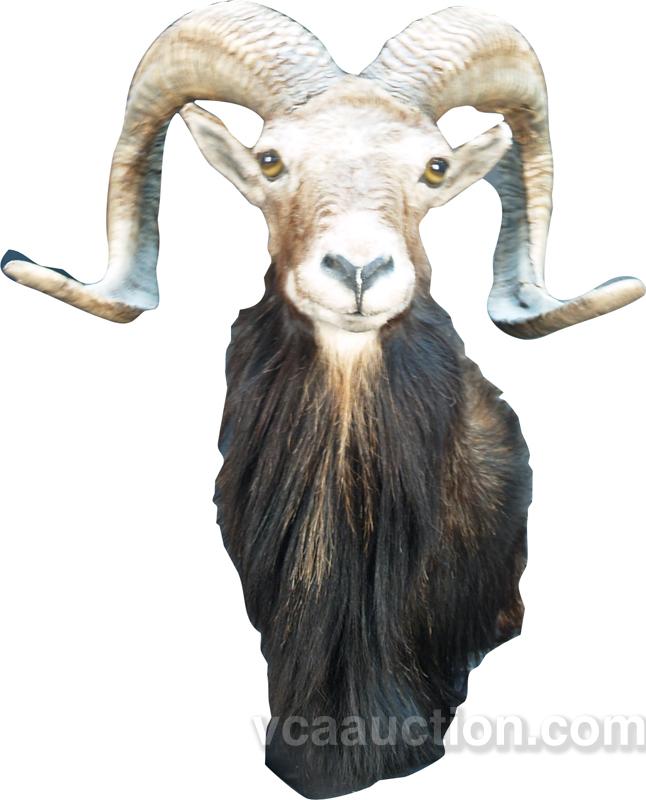 Wall Mount Stuffed Ram Head