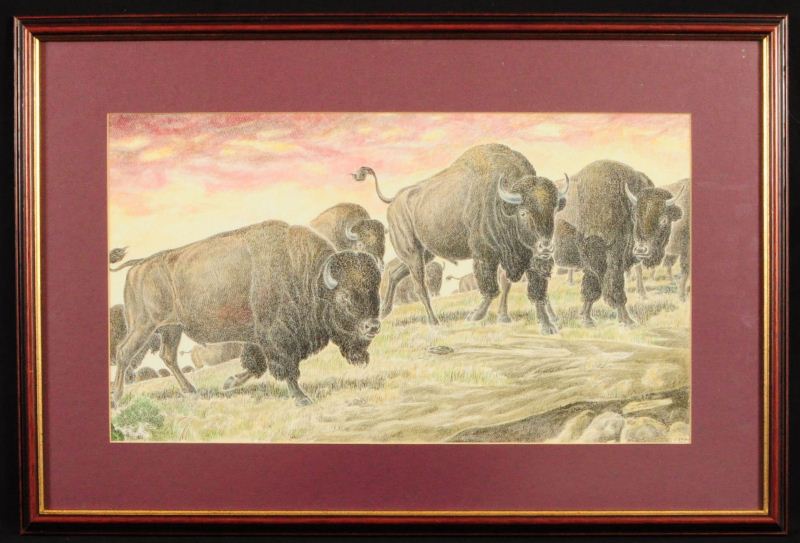 Jose Cisneros Buffalo Herd Pen & Ink Wash Painting