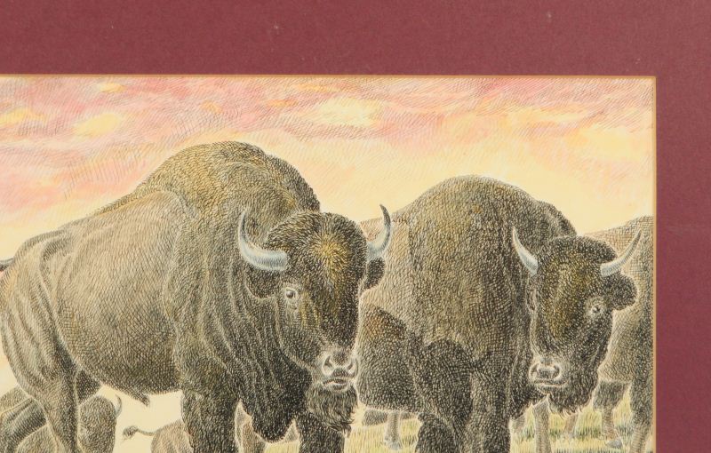 Jose Cisneros Buffalo Herd Pen & Ink Wash Painting