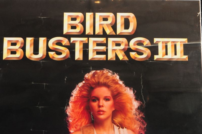 Winchester Bird Busters III Gun Advertising Poster