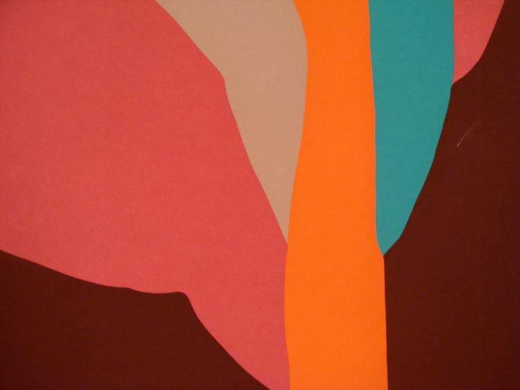 Doug Danz Signed Abstract Art Print 1983