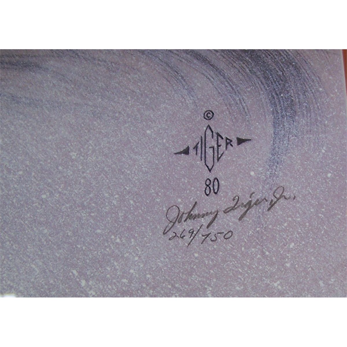 "The Protector" by Johnny Tiger Jr.