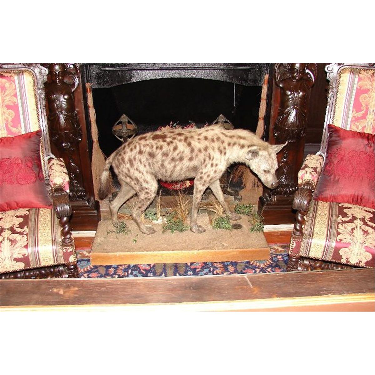 Hyena Mount
