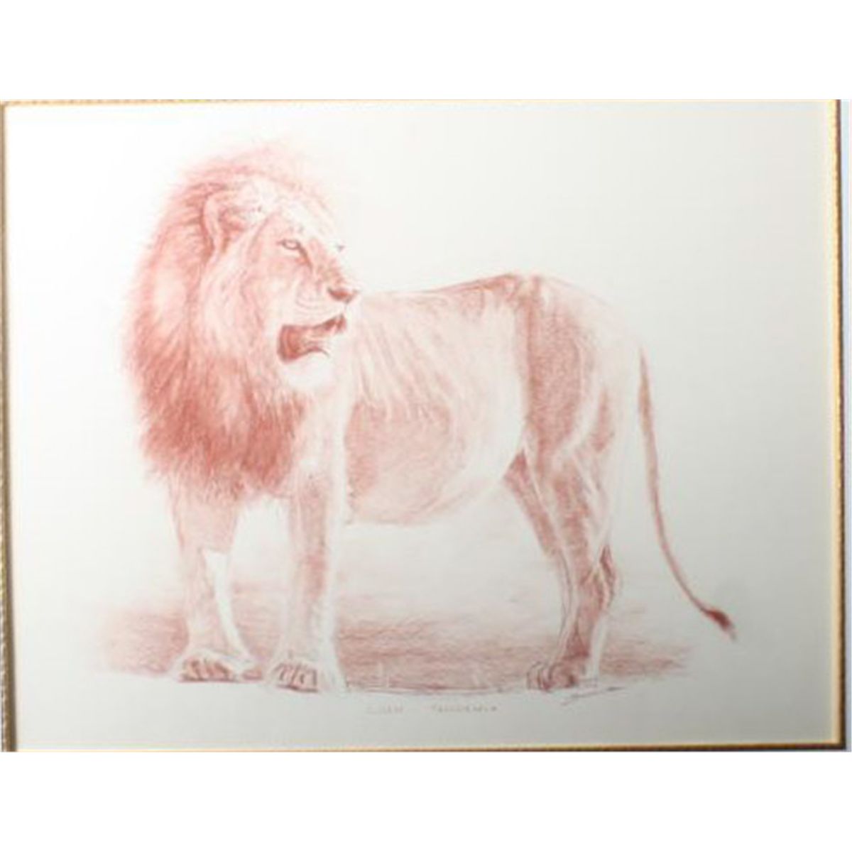 Original drawing in sinopia entitled Lion Tanzania by noted wildlife ...