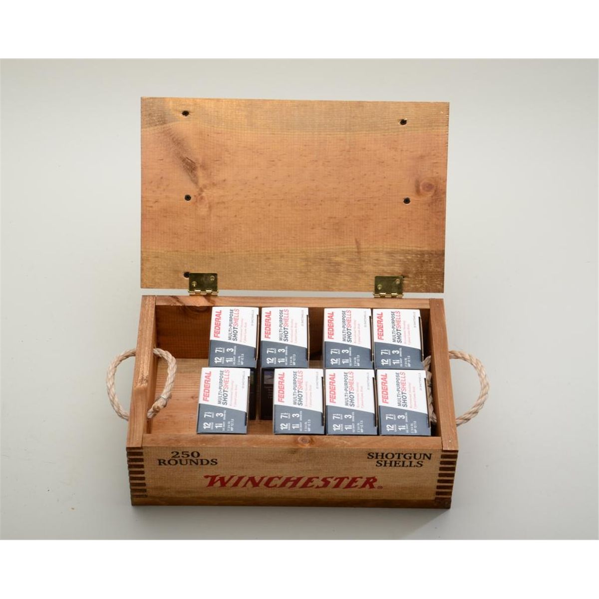 Lot of modern shotgun shells in a cardboard box and in a Winchester ...