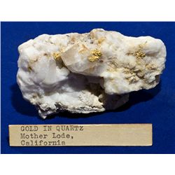 CA - Placer County,Gold in Quartz Specimen