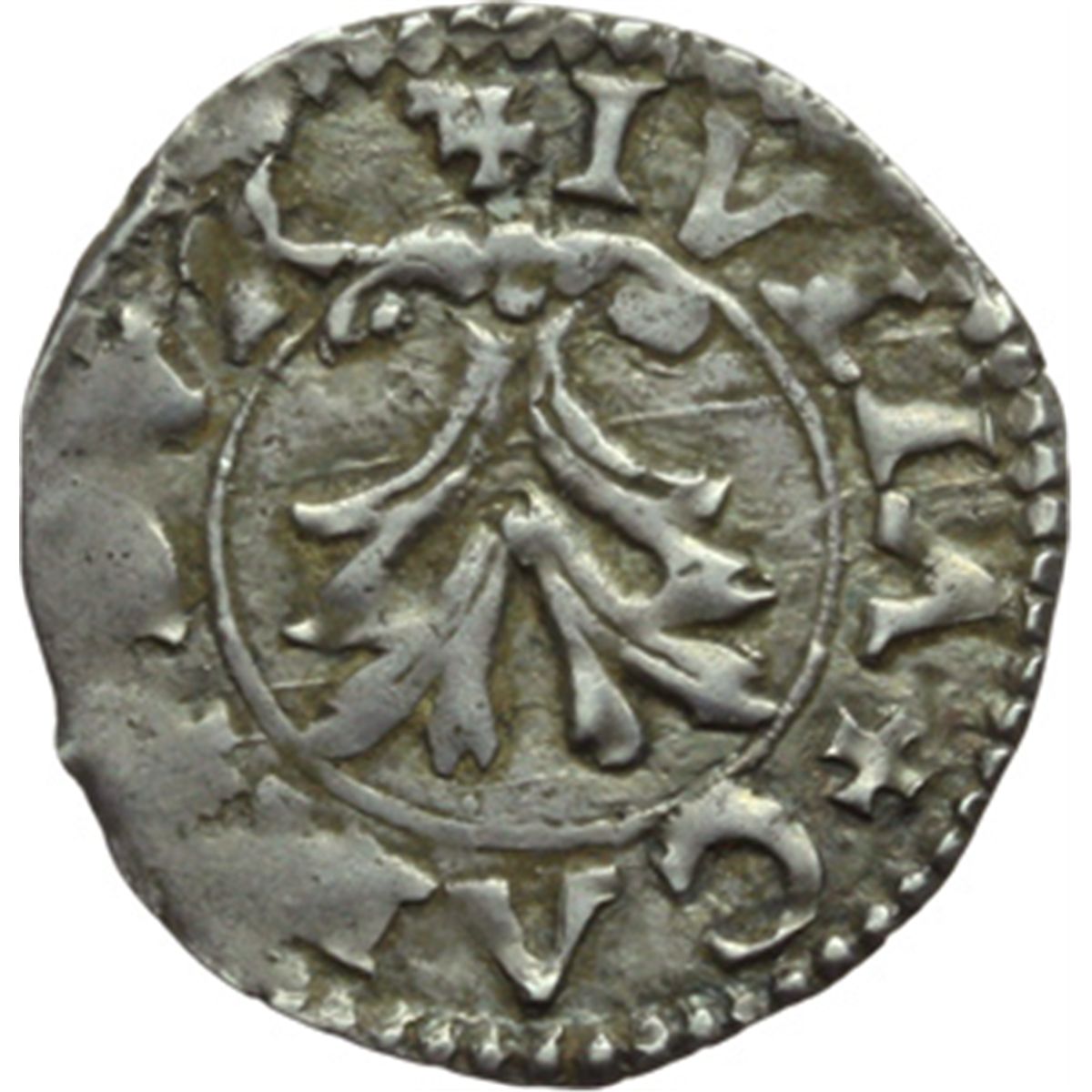 Camerino Giulia Varano (1527-1534) Bolognino.