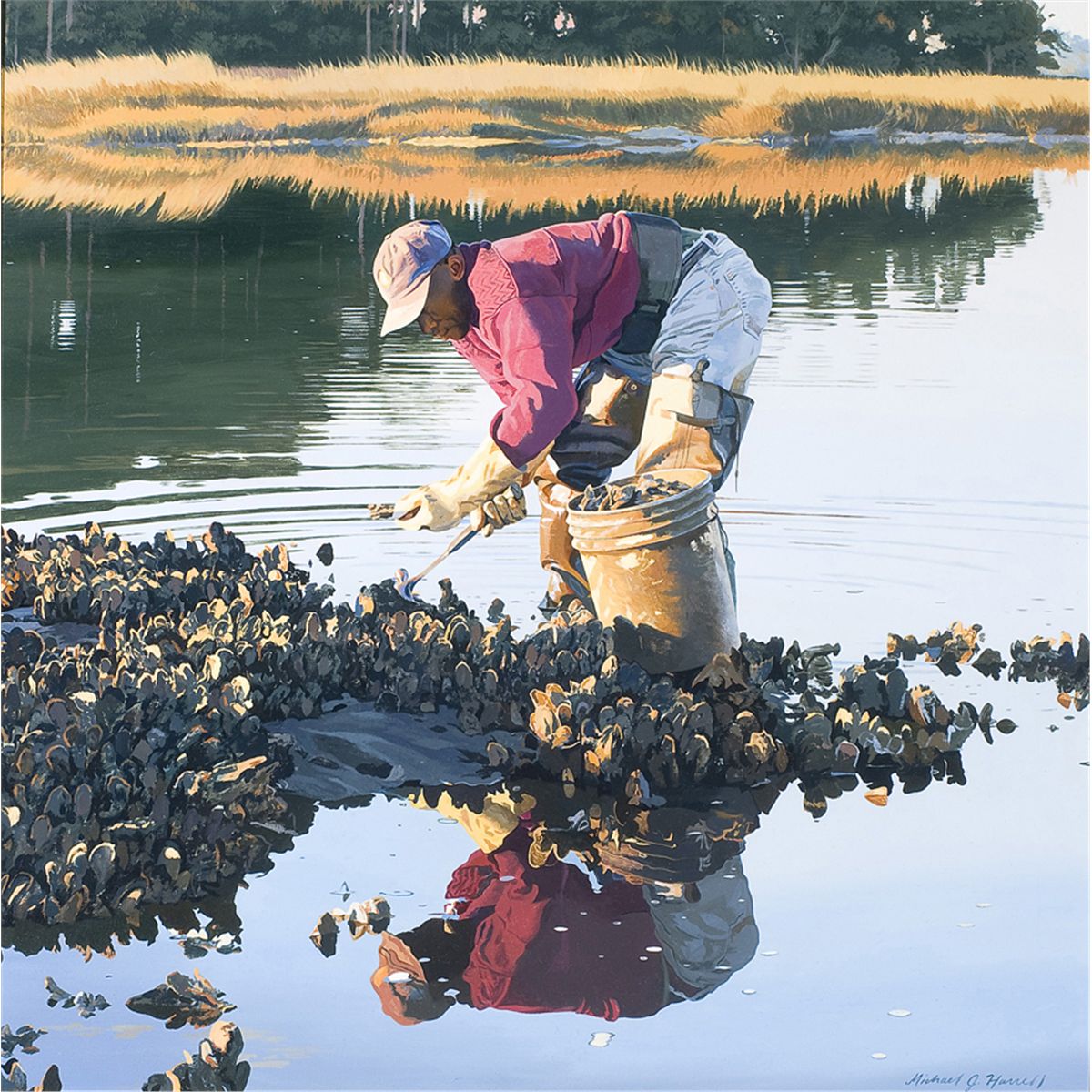 Michael Harrell - Lowcountry Reflections