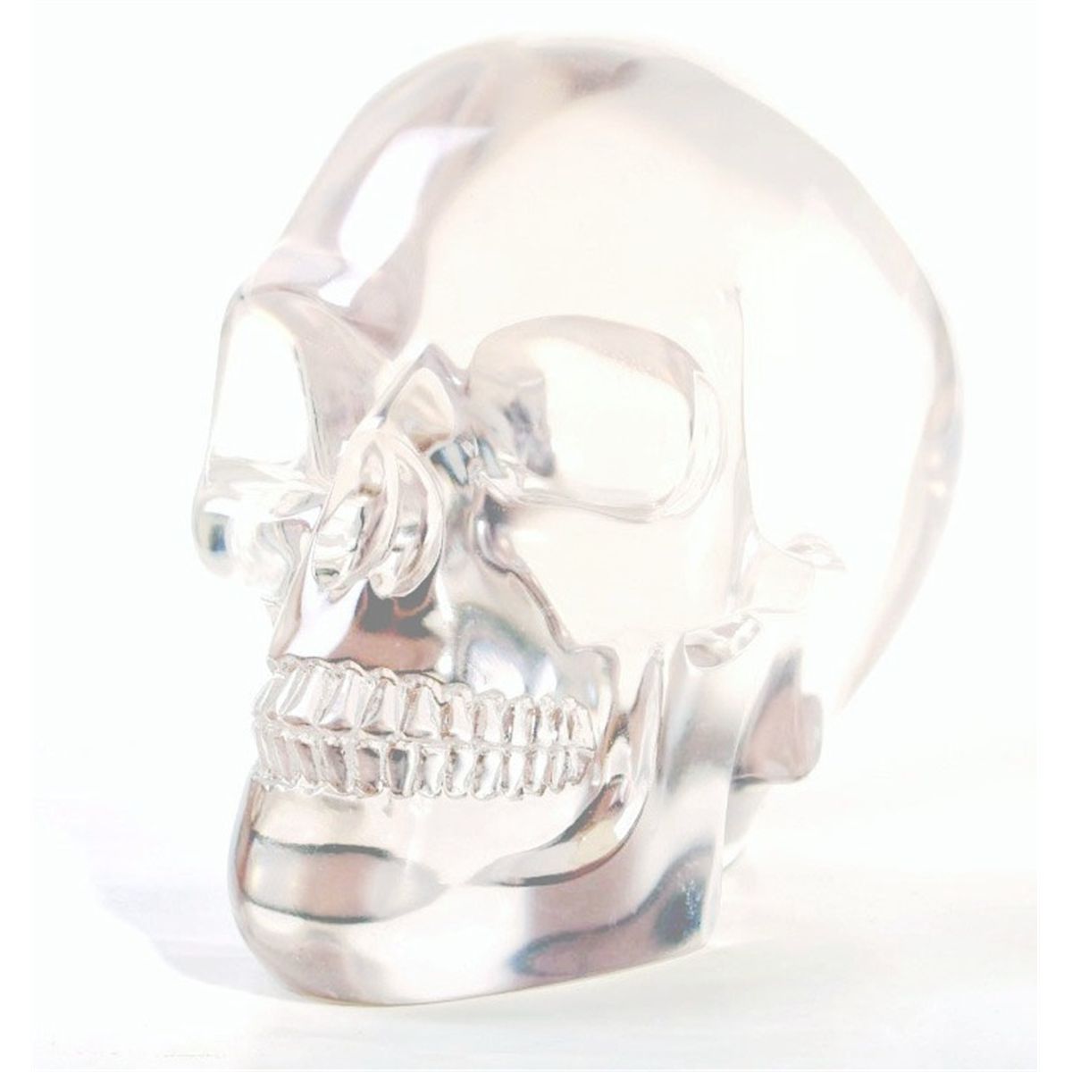 MWF1538 IMPRESSIVE CLEAR HUMAN SKULL SKELETON FIGURINE