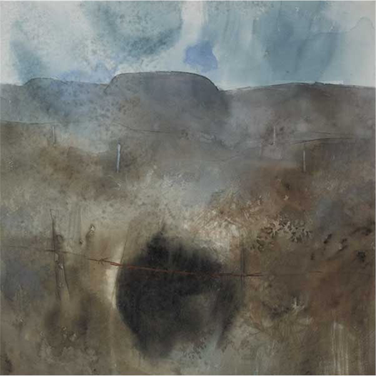 Terence P. Flanagan RHA PPRUA (1929-2011) - BULLWIRE, BOGWATER, 1978