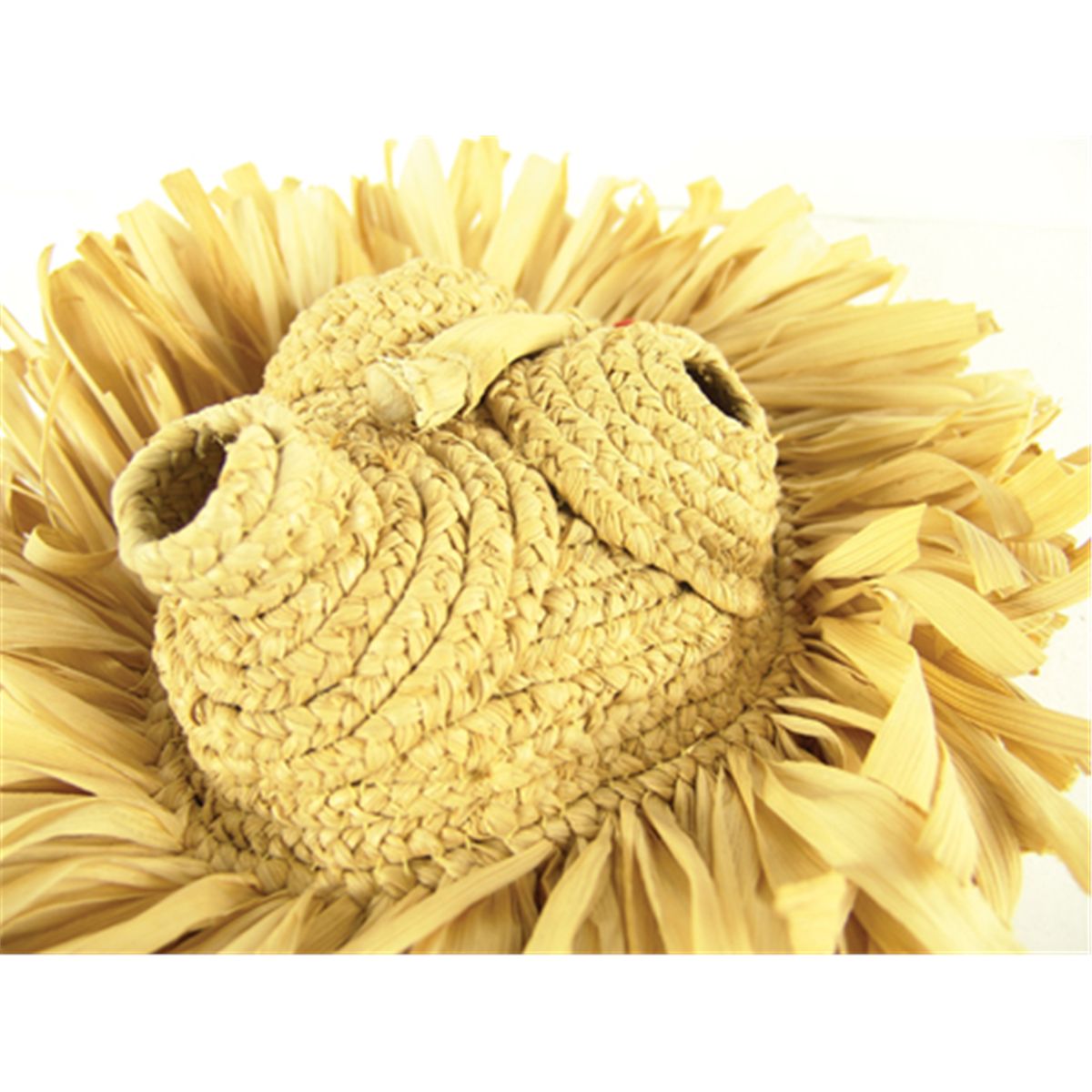 Iroquois Corn Husk Mask- Tinyungwas