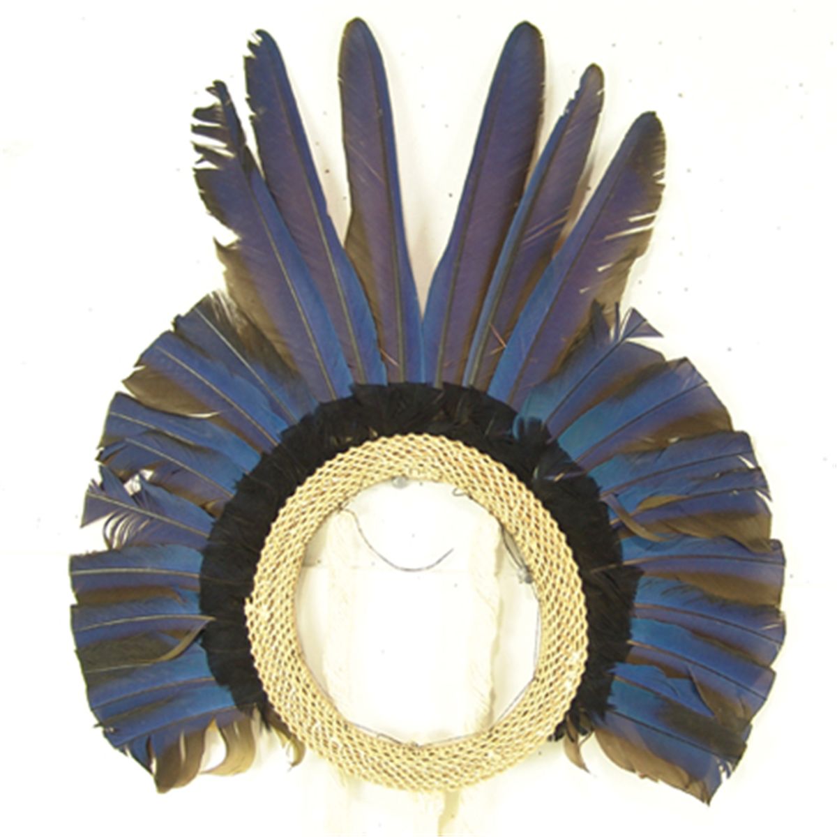 Amazon Feather Headdress