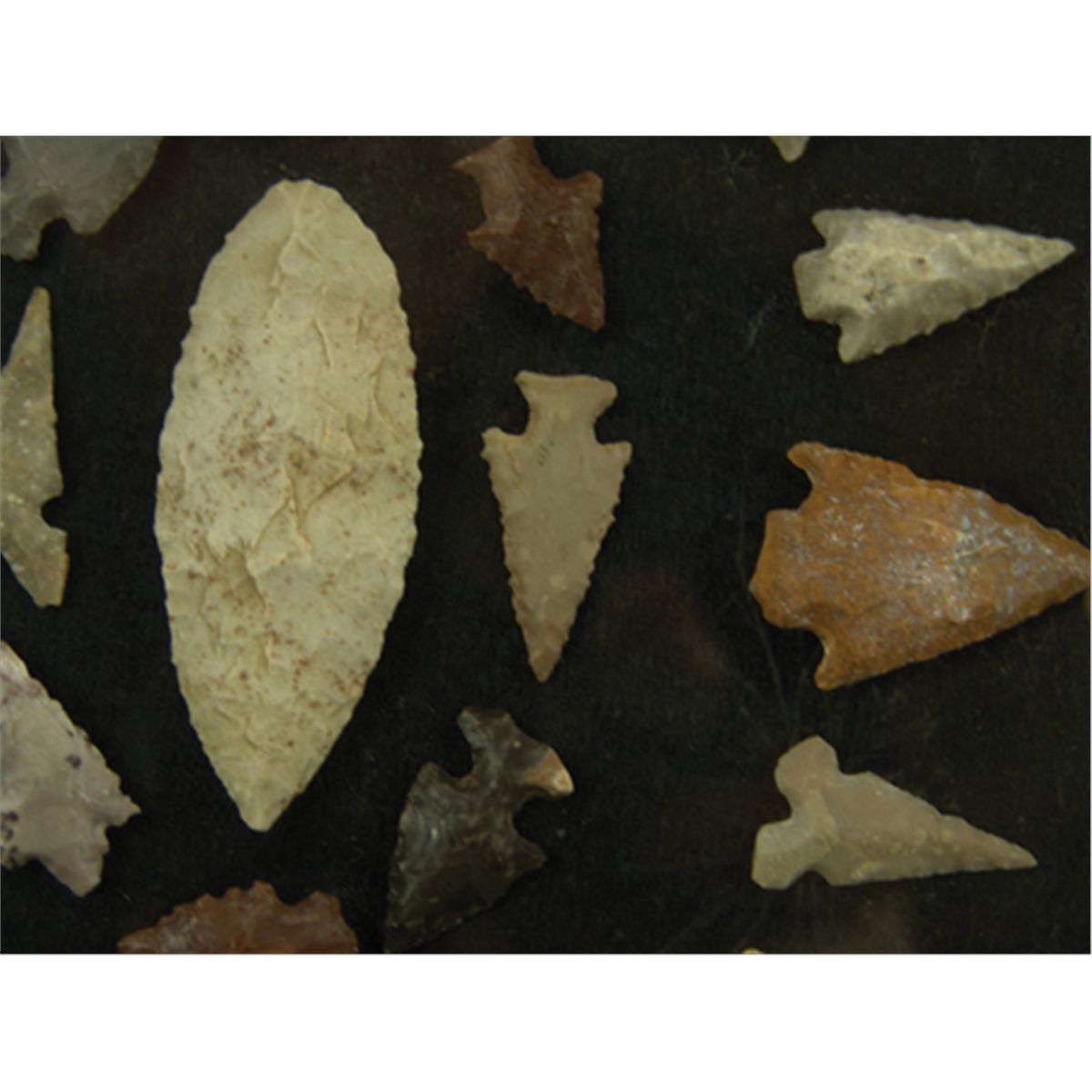 Framed Arrowhead Collection