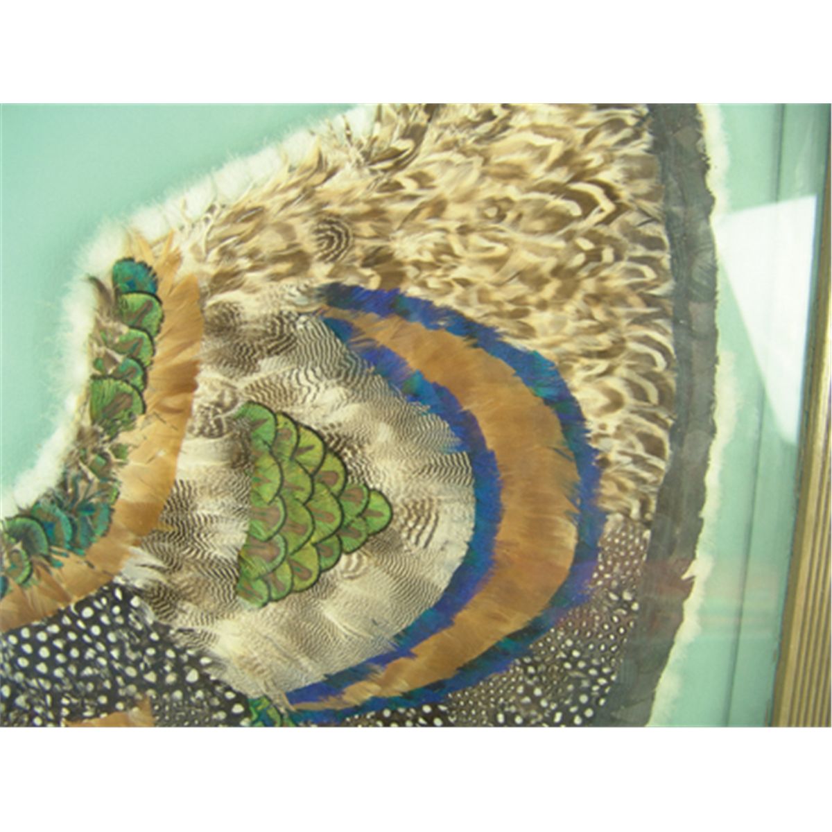 Cherokee Feather Cape