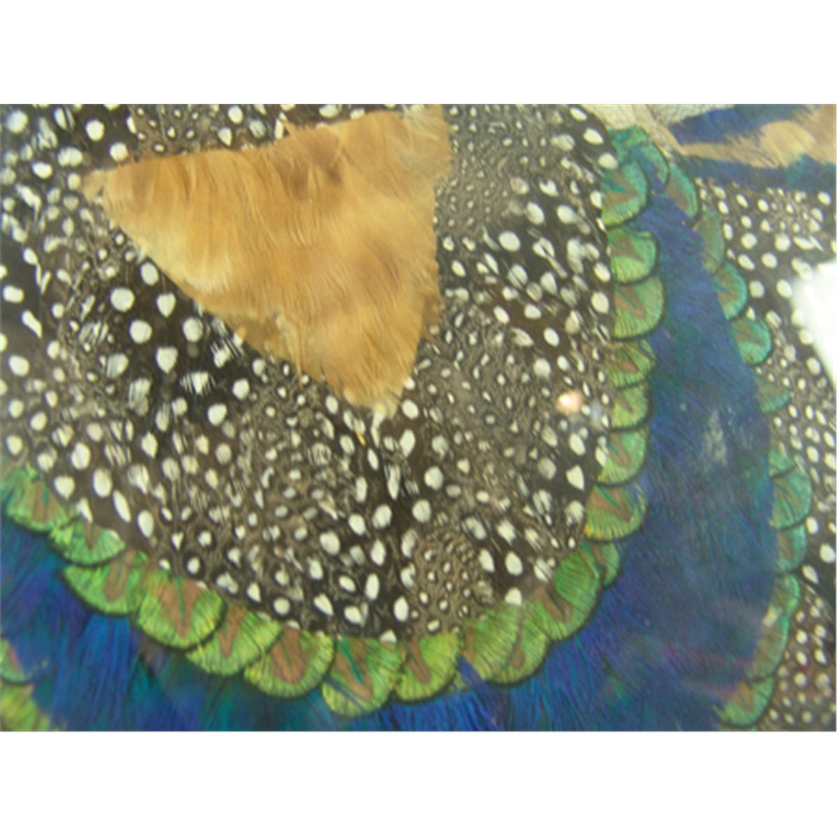 Cherokee Feather Cape