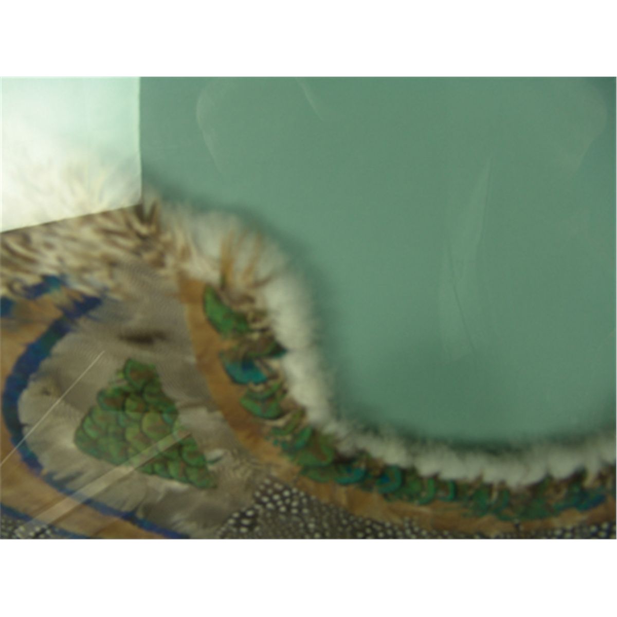 Cherokee Feather Cape