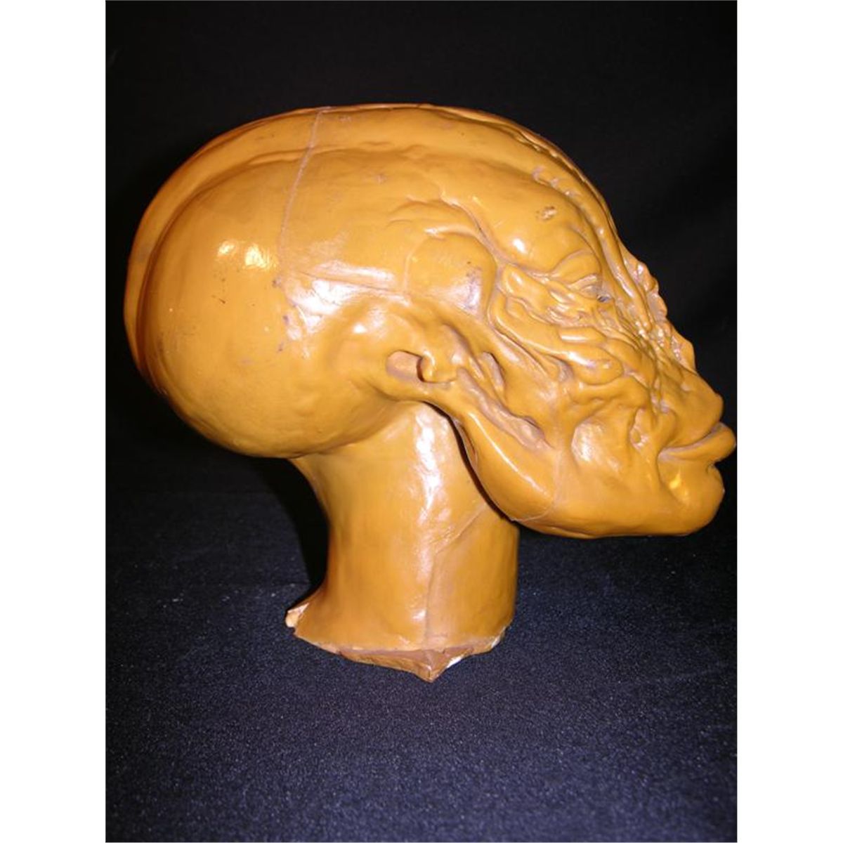 H. R. Giger Vomit Creature Casting