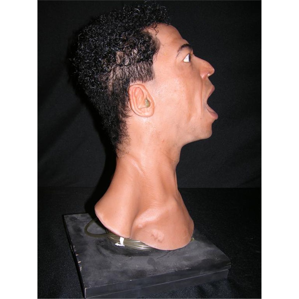 Eraser Prop Head With Projectile Blood Enhancements
