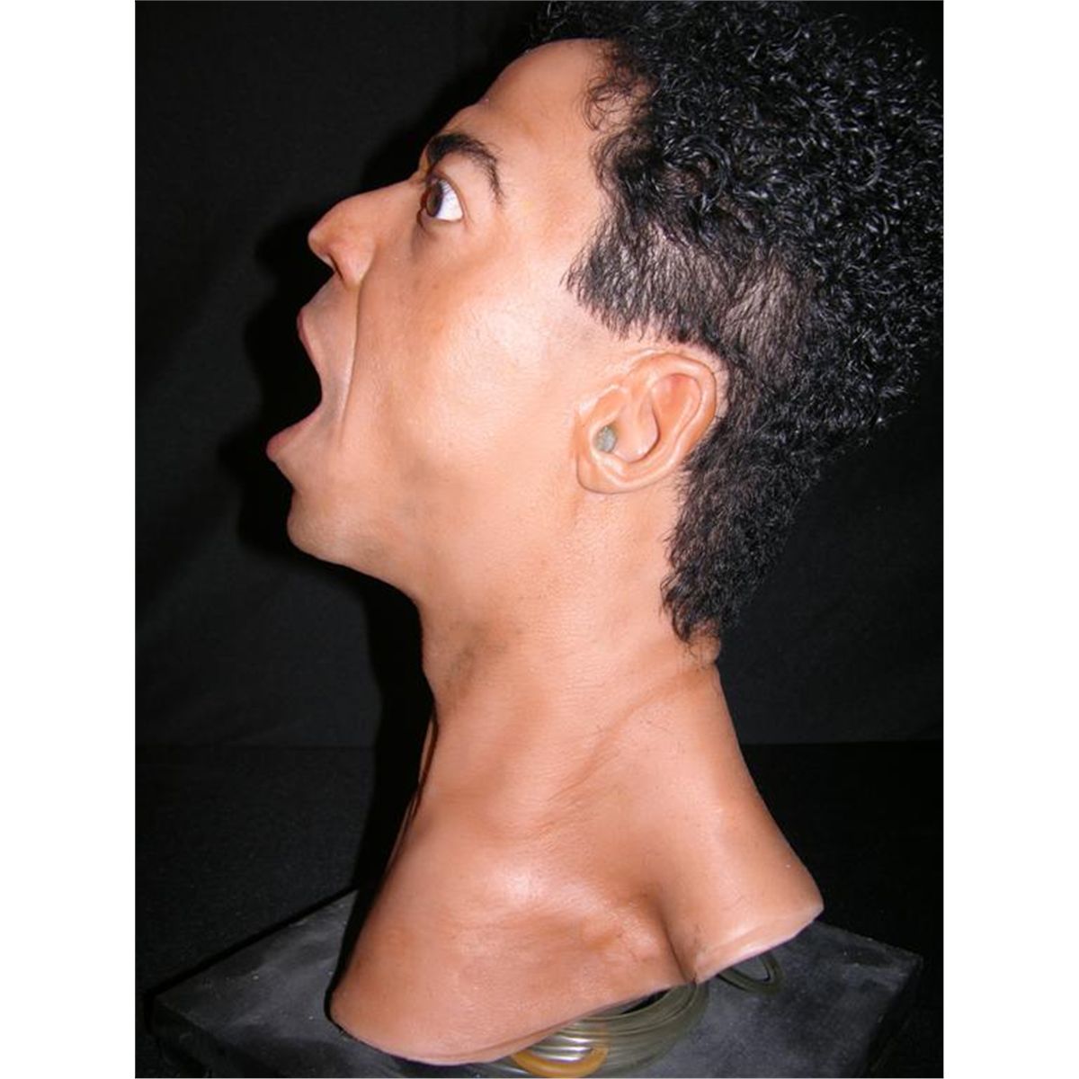 Eraser Prop Head With Projectile Blood Enhancements