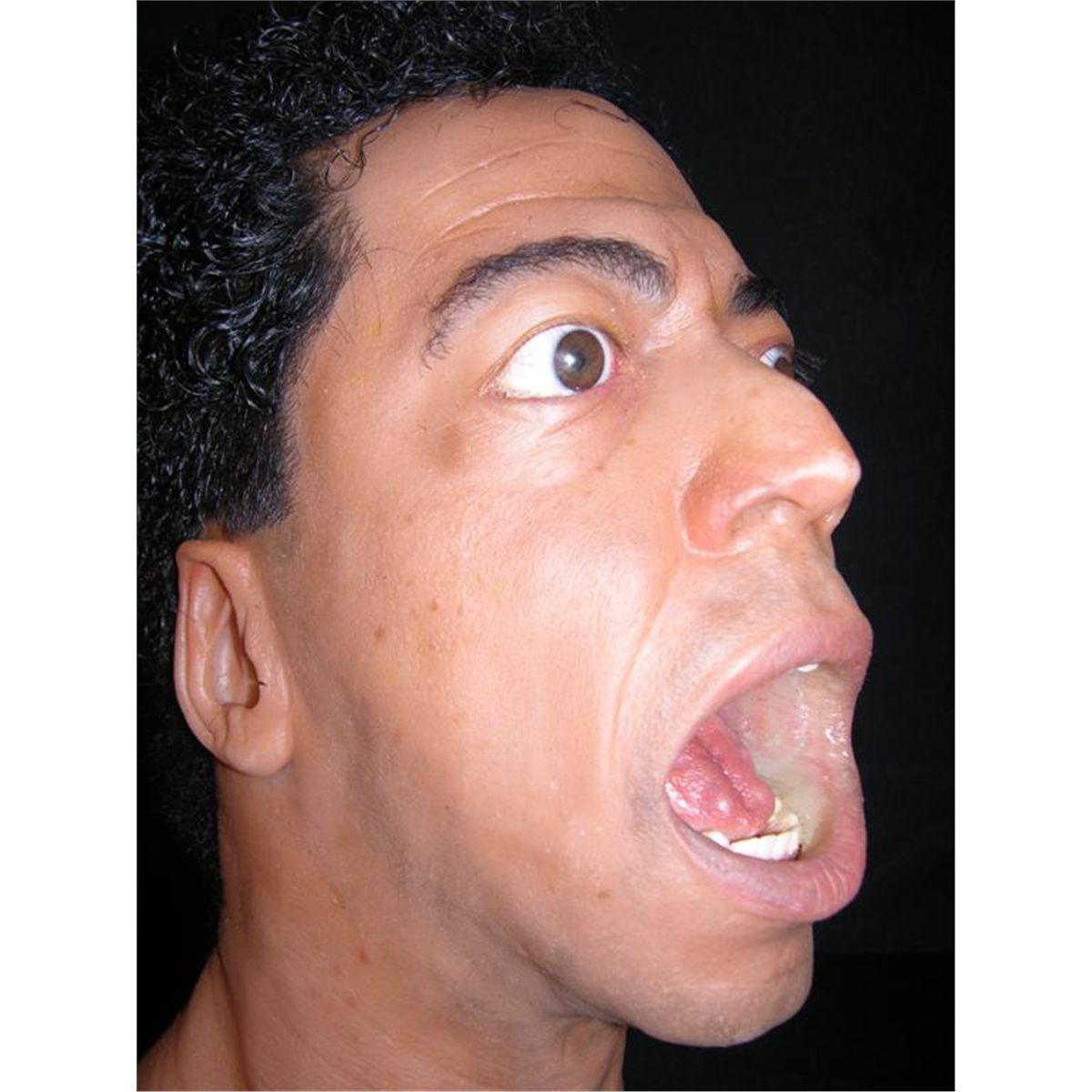 Eraser Prop Head With Projectile Blood Enhancements