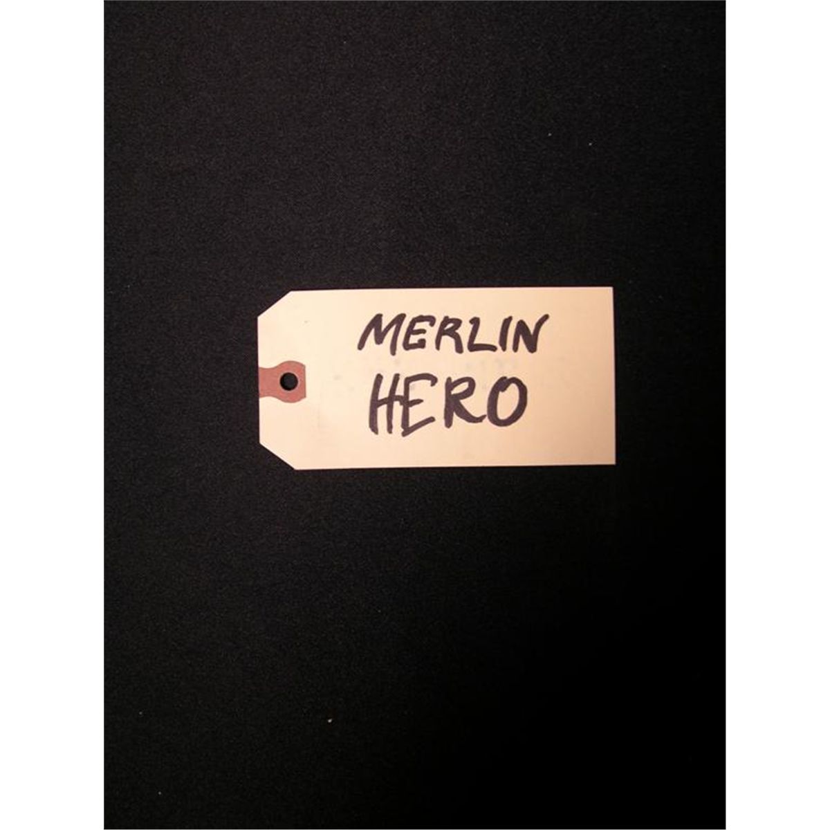 Merlin (Stephen Dillane) Cloak from King Arthur (2004)