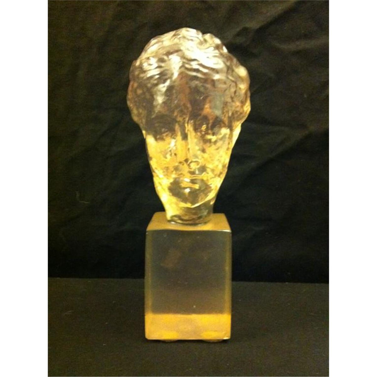 Weird Science Bust