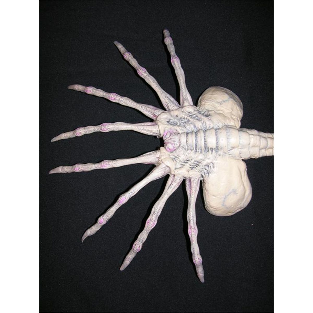 Alien Face Hugger