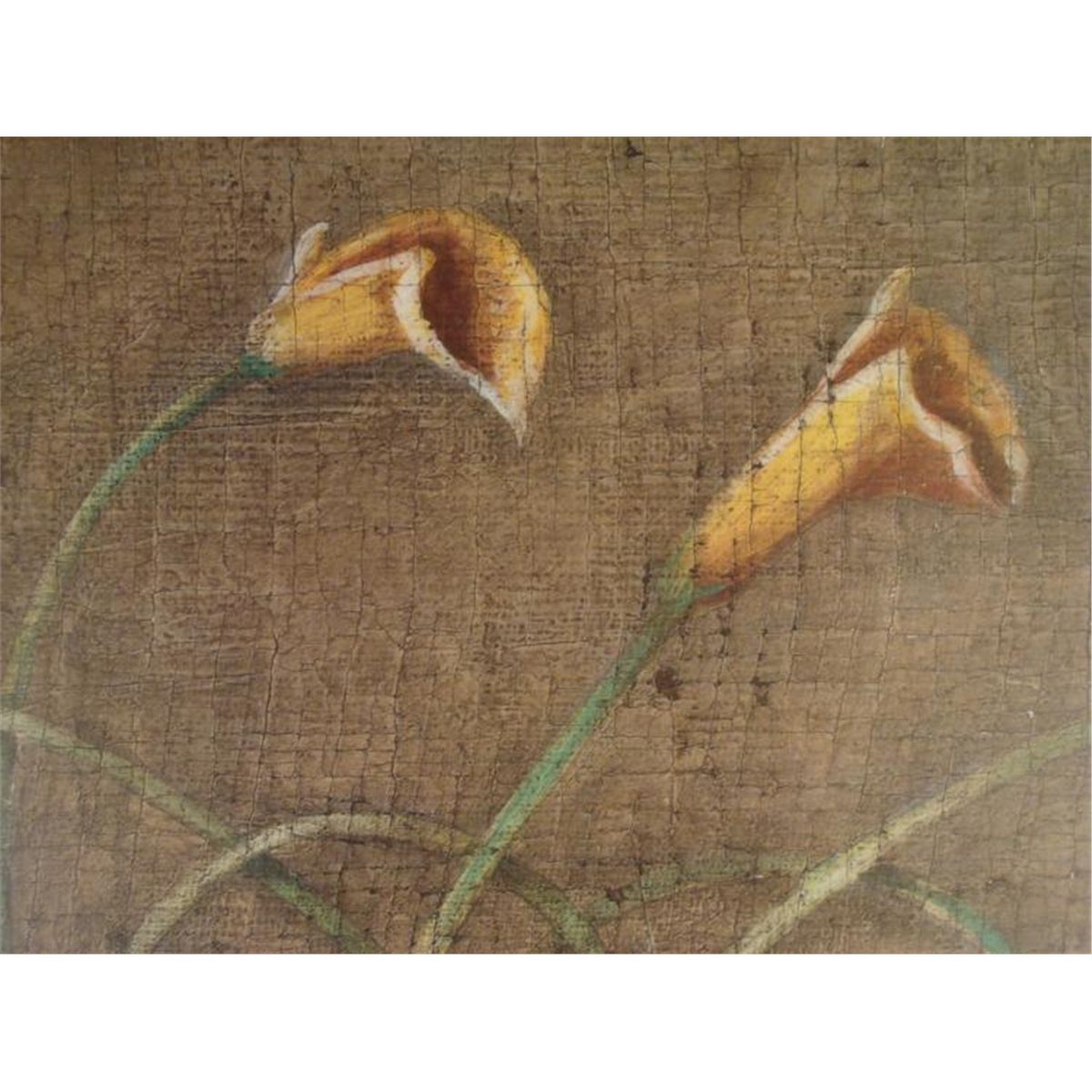 Jacques Lamy Yellow Lilies Large Framed Art Print