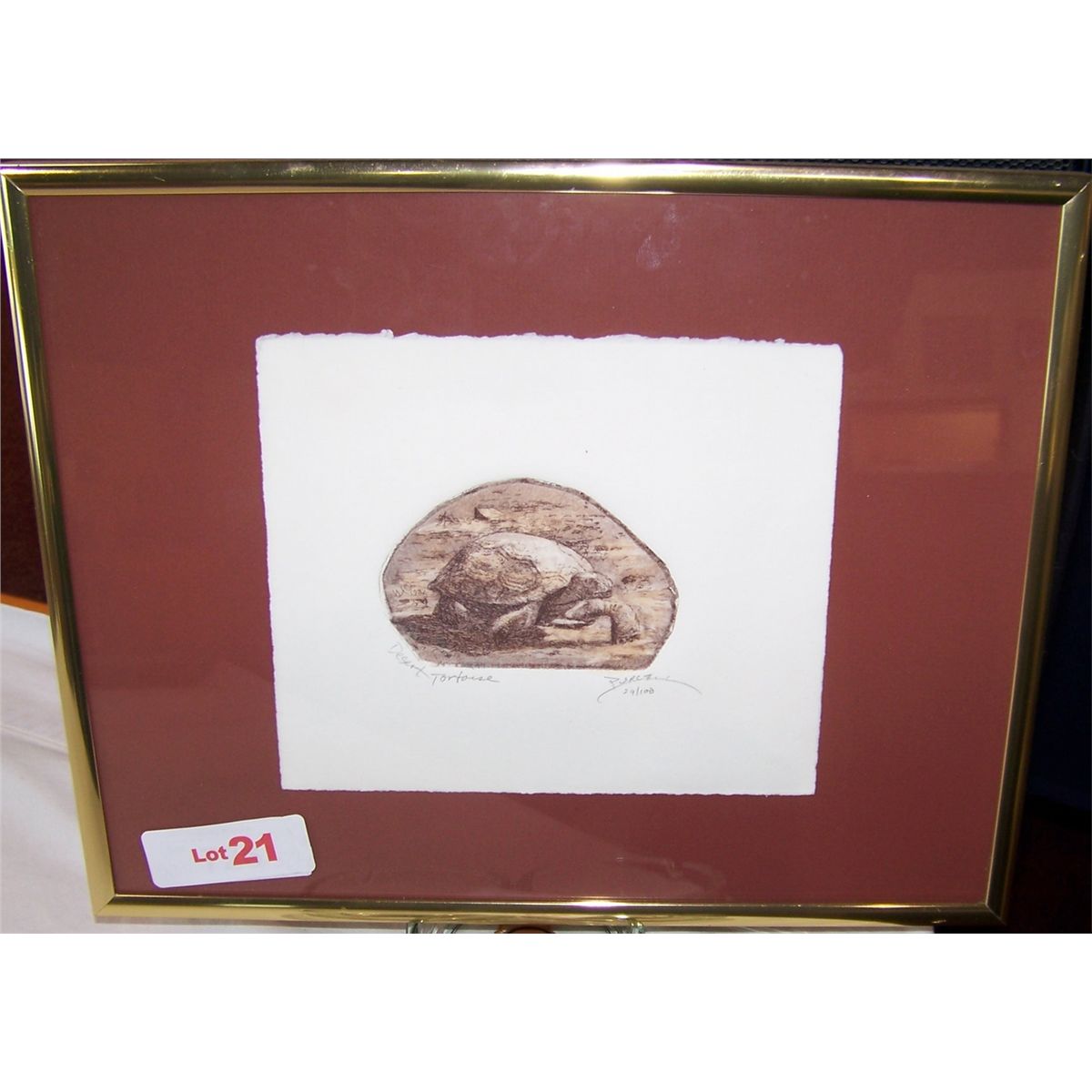 Roy Purcell Vintage Etching "Desert Tortoise".