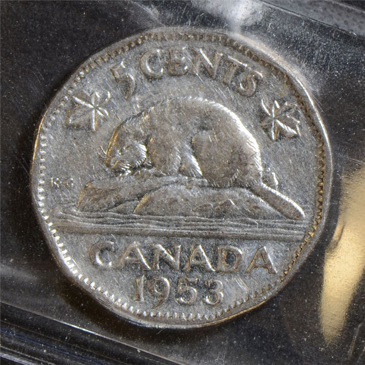 1953 NSF, Near Leaf (MULE) 5 Cents, CCCS F-15.