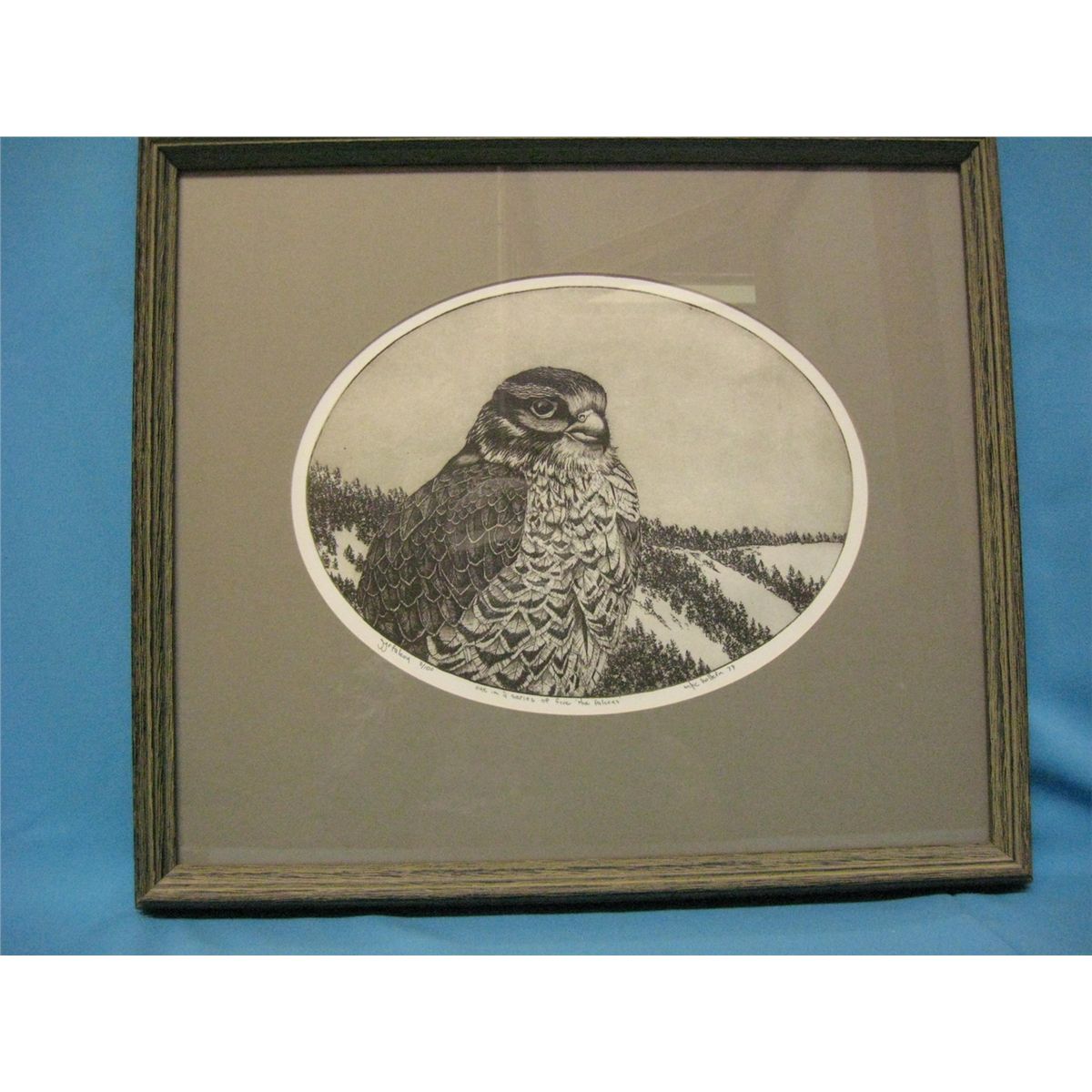 Mike Hollern etchings, Series of 5 Birds of Prey, all #3/100, all 8” x ...