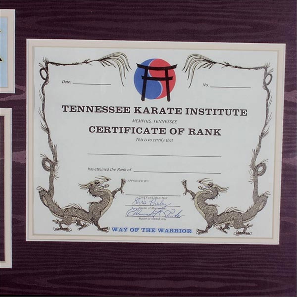 Elvis Kenpo Karate 1974 Card Decal Display 4 of 100