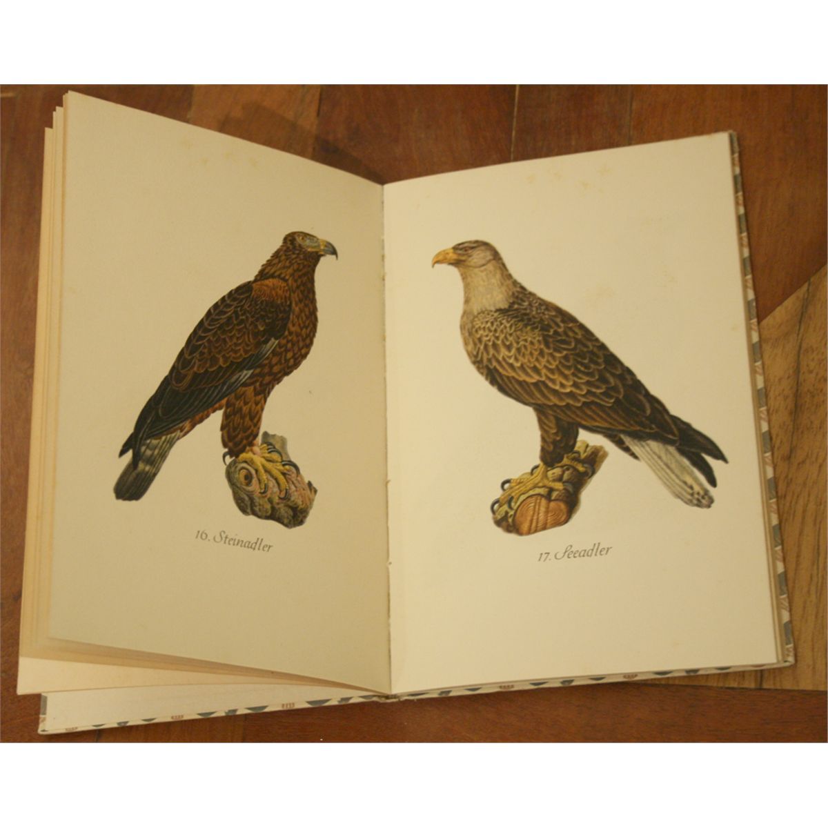 Four Small German Illustrated Animal Books
