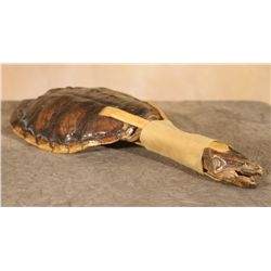 Snapping Turtle Rattle