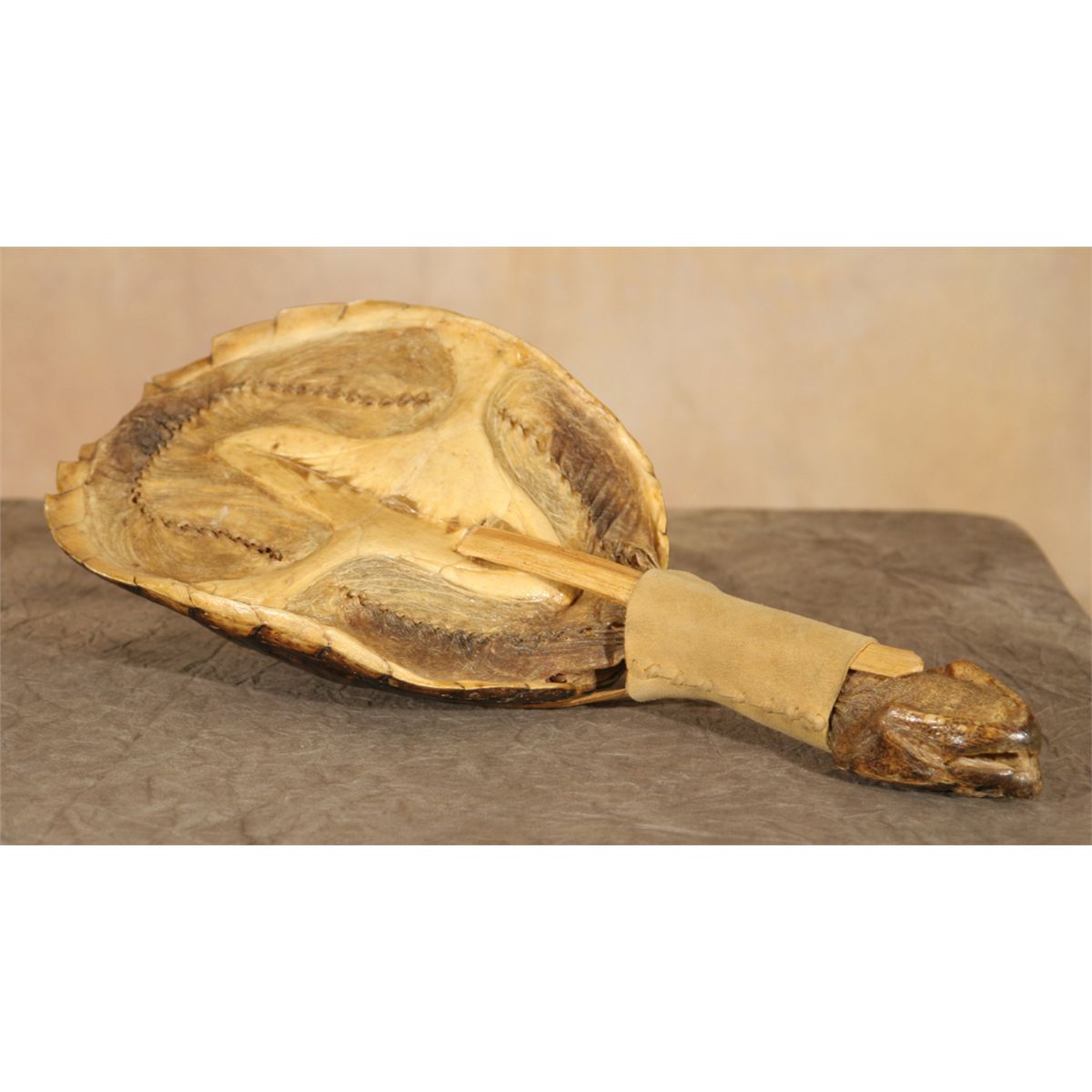 Snapping Turtle Rattle