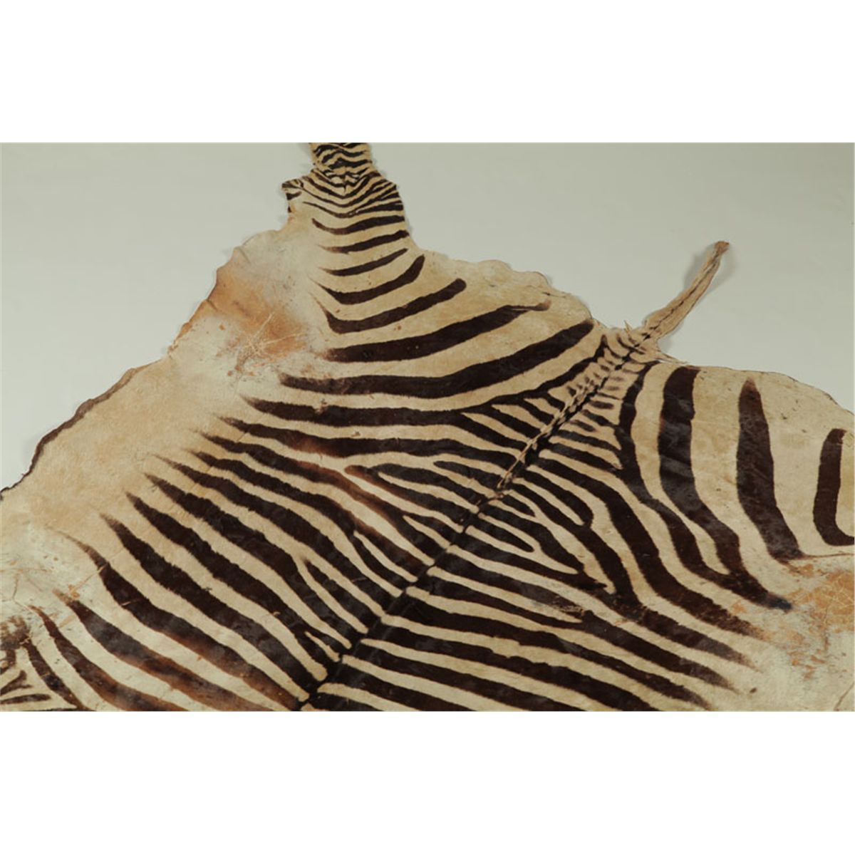 ZEBRA SKIN RUG.