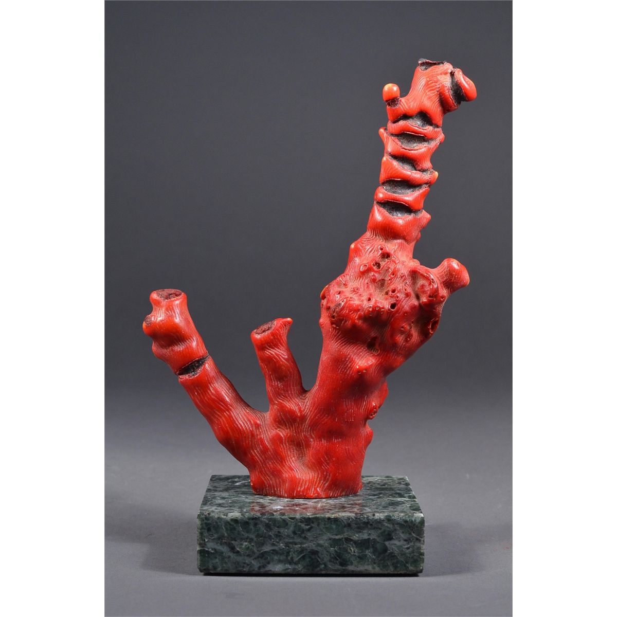 Chinese Red Coral Naturalistic Tree Form