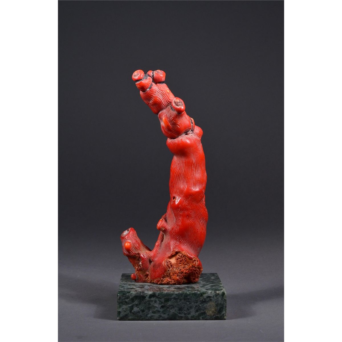 Chinese Red Coral Naturalistic Tree Form