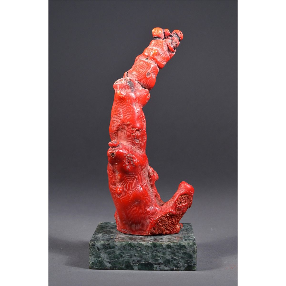 Chinese Red Coral Naturalistic Tree Form