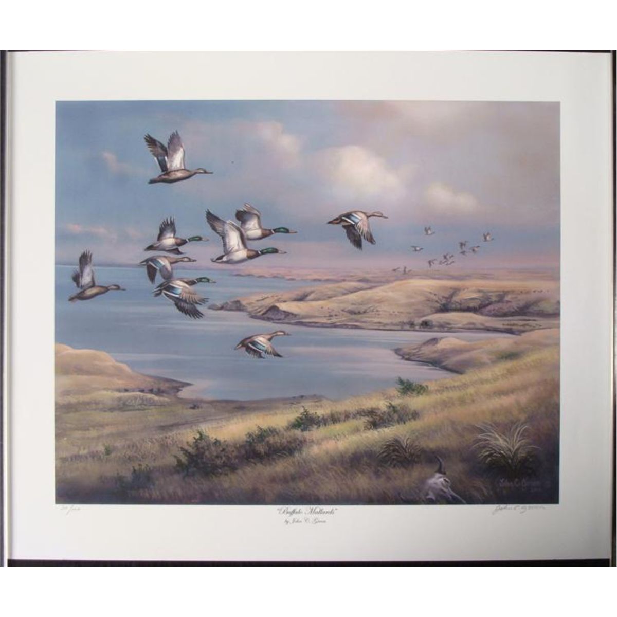 John C. Green Signed Ducks Art Print Buffalo Mallards