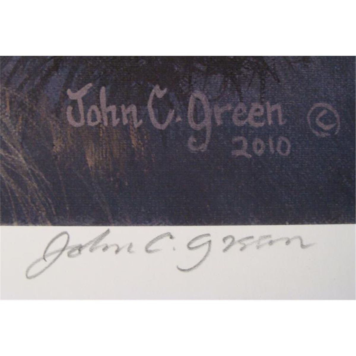 John C. Green Signed Ducks Art Print Buffalo Mallards