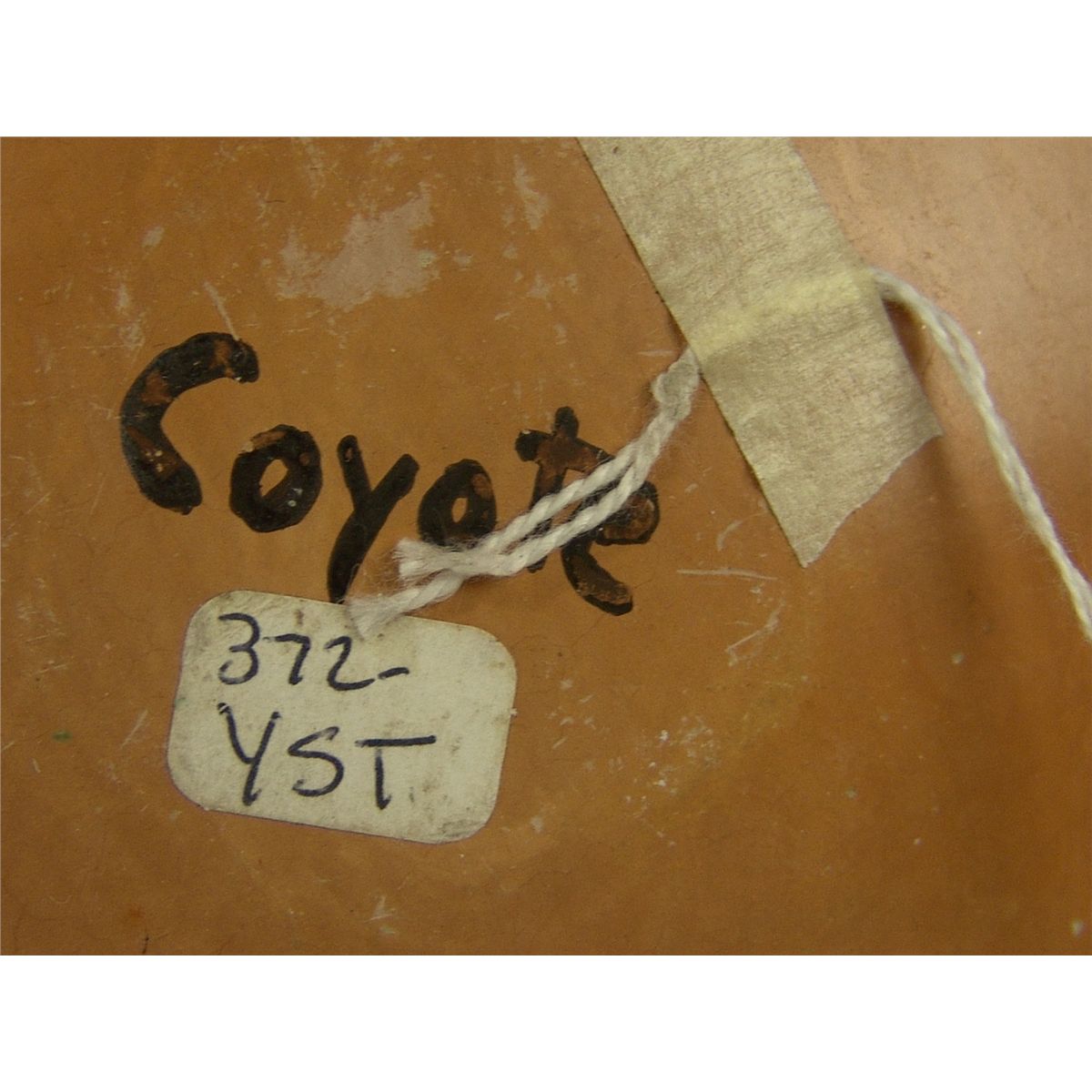 Hopi Pottery Bowl - Coyote