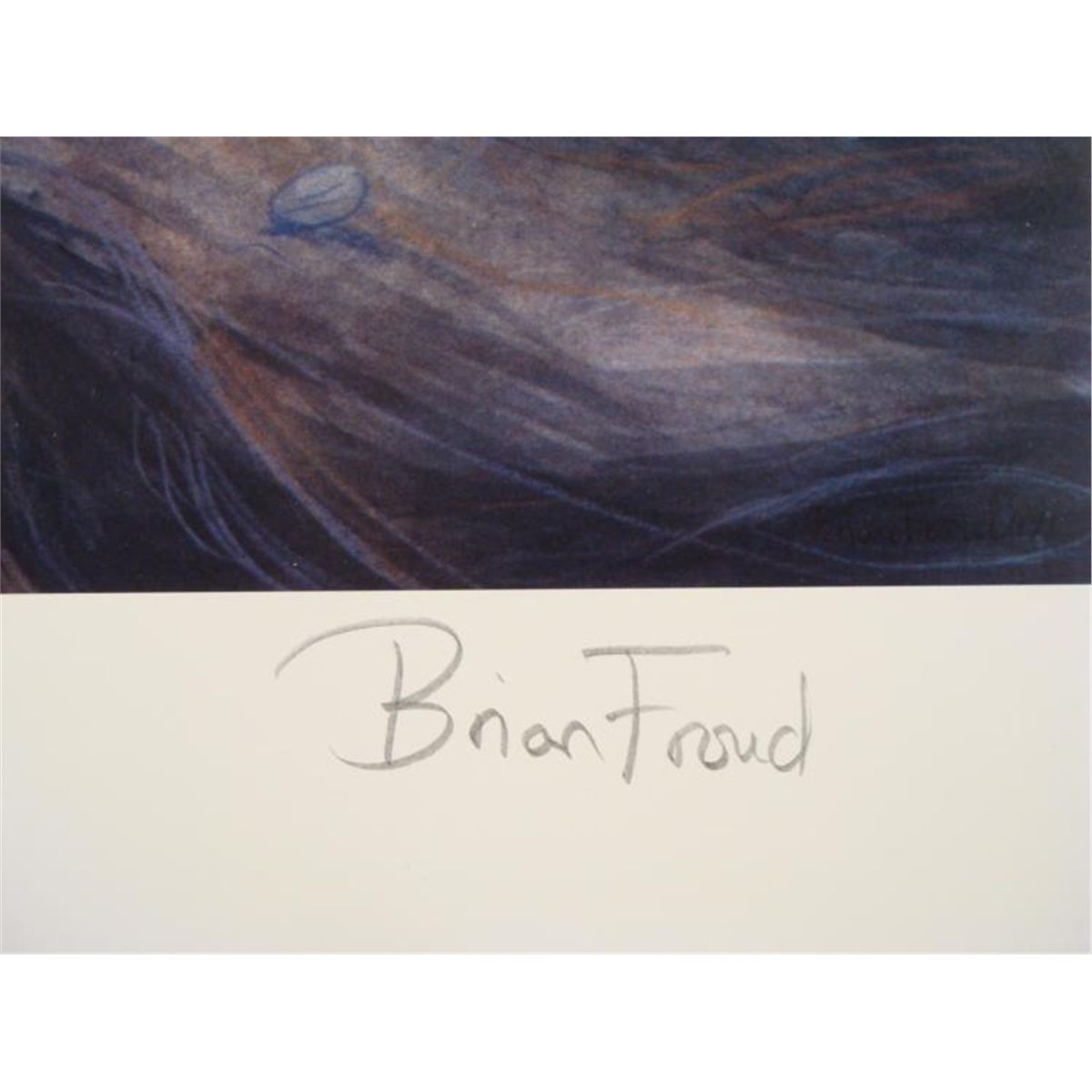 Hannah's Garden Brian Fround Signed Fantasy Art Print