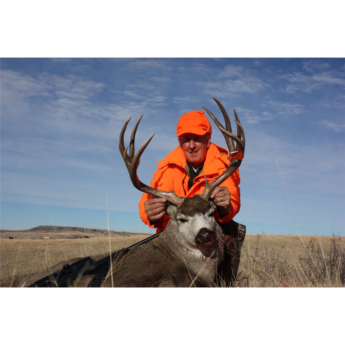 5 DAY DEER RIFLE HUNT - Rocky Boy Reservation - North Central Montana