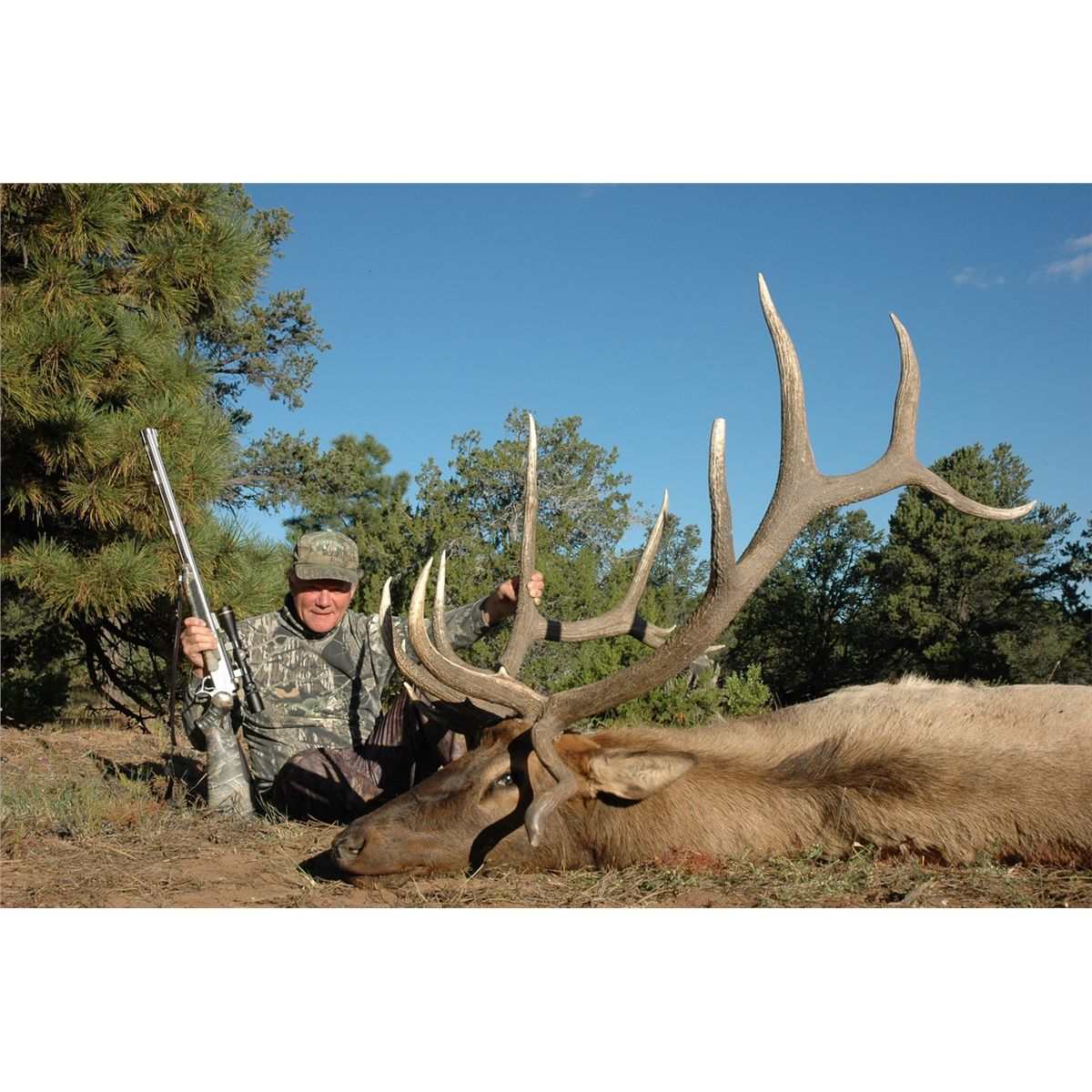 5 Day Trophy Bull Elk Hunting Package - Pueblo of Acoma - Acoma, New Mexico